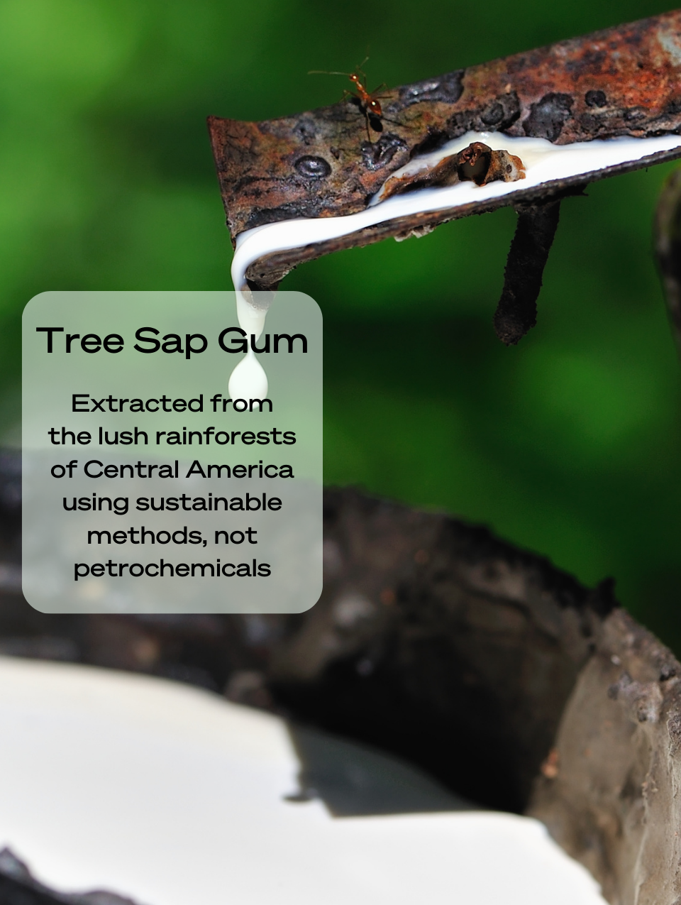 Kaigum Natural Tree Sap, 100% Xylitol Gum